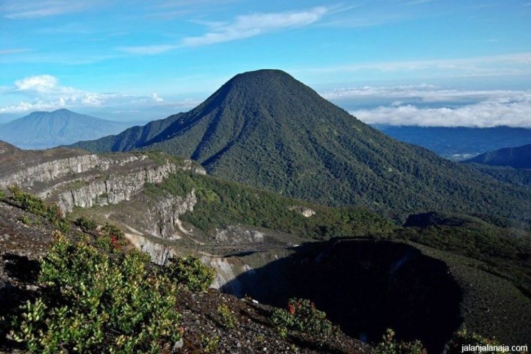 Keindahan Taman Nasional Gunung Gede Pangrango!