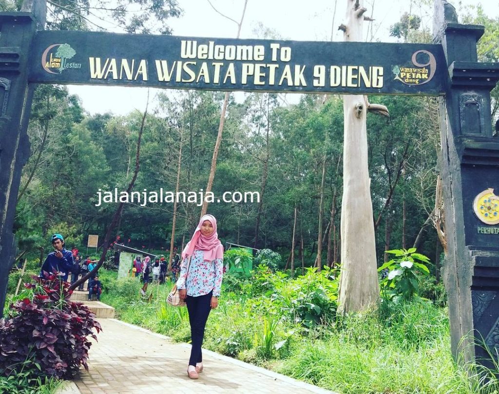 Wisata Petak 9 Bukit Sidengkeng Dieng